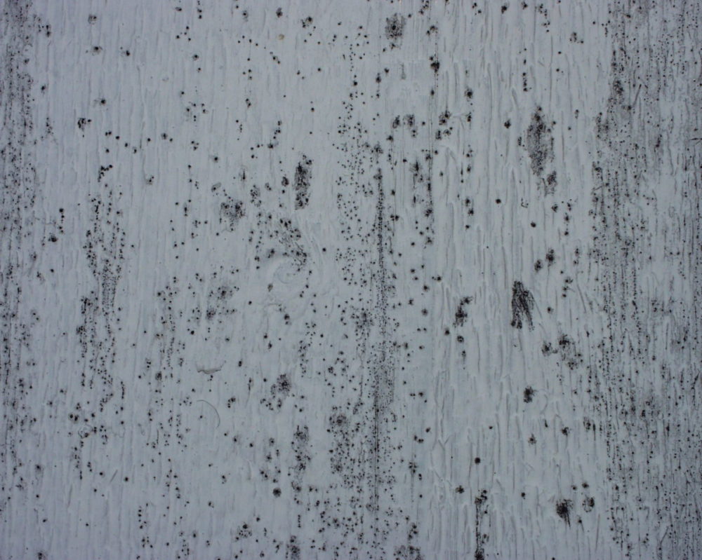 Svertesopp | Tips & råd for forebygging og utbedring