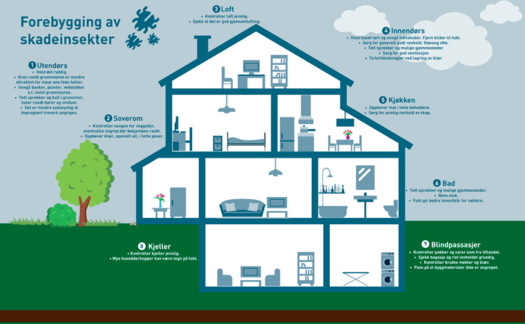 Forebygg skadeinsekter | Norsk Hussopp Forsikring