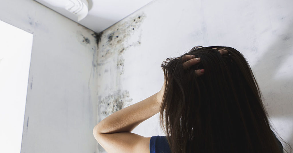 Hvorfor muggsopp oppstår og hvordan unngå det | Sjekkliste