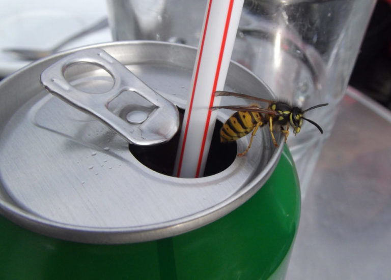 Veps - Norsk Hussopp Forsikring