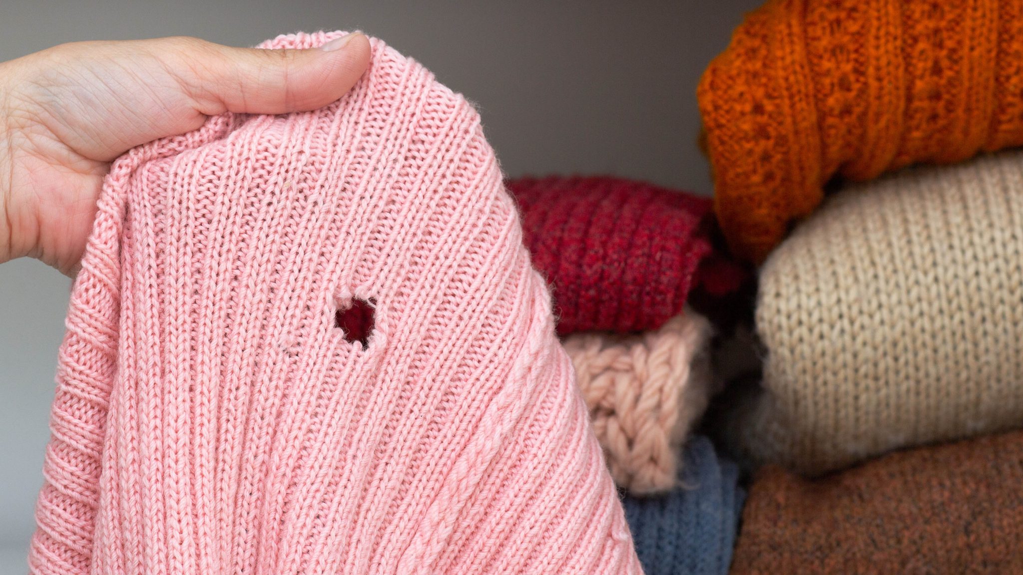 Slik fjerner du muggsopp | Norsk Hussopp Forsikring