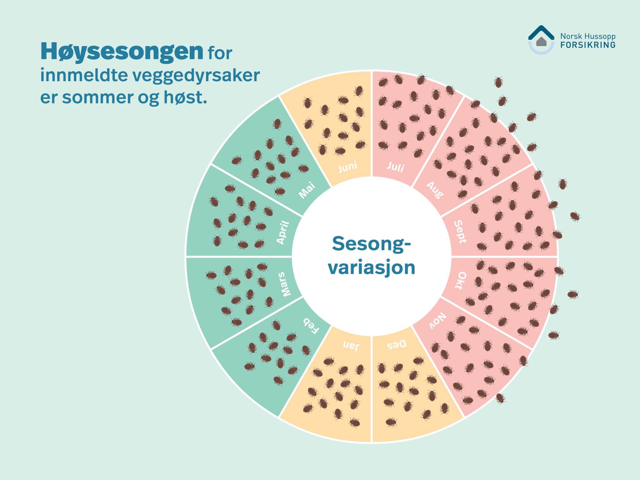 Slik sjekker du sengen for veggedyr | Norsk Hussopp Forsikring